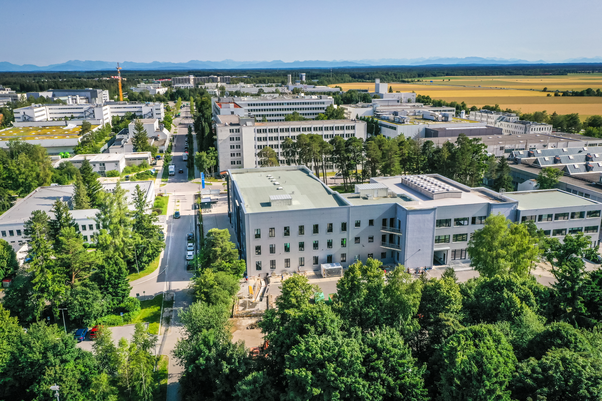 Recommendation Letter - Online Form - SSEA Munich 2026